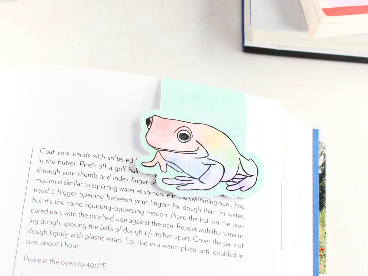 Rainbow Frog Magnetic Bookmark, LGBTQ Bookmarks, Laminated, Original A ...